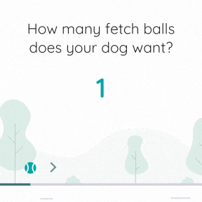 Flutter Vignette Showcase